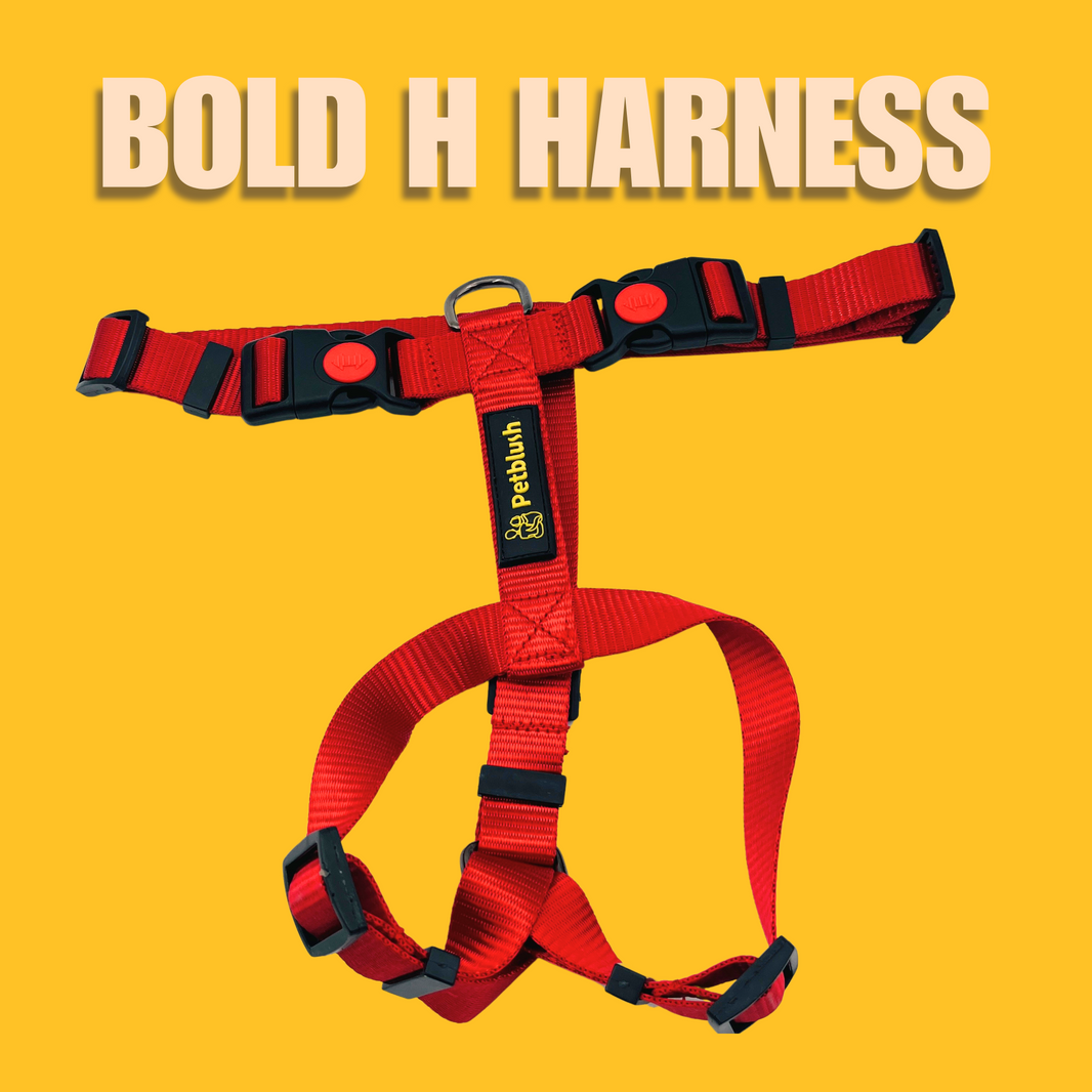 Dog Harness – Petblush